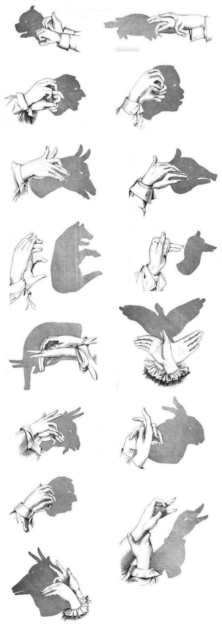 Kids These Days Have Probably Never Heard of Hand Shadow Puppets ...