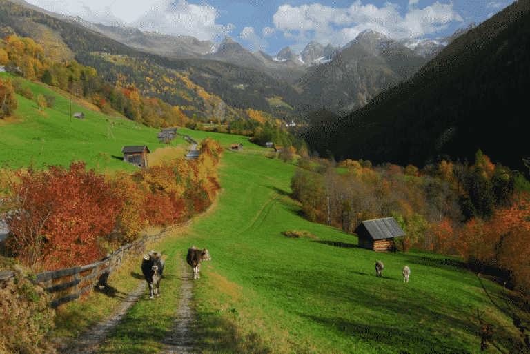10 Beautiful Nature Spots To Visit When In Austria – Elite Readers