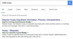 10 Google Search Tips That Will Make Your Life A Whole Lot Easier ...