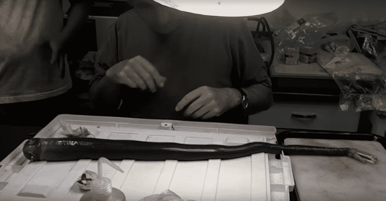 Giant Shipworm That Lives on Fart Gas and Bacteria Discovered in the ...