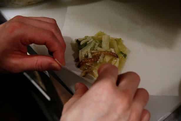 insect ramen tokyo 1 – Elite Readers