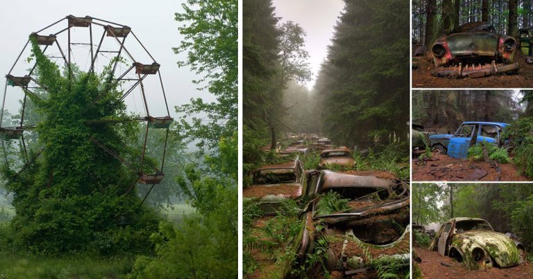 20 Remarkable Photos Showing Nature Taking Over Civilization | Elite ...