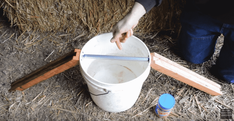 Learn How to Do This Simple But Extremely Effective Rolling Log Mouse ...