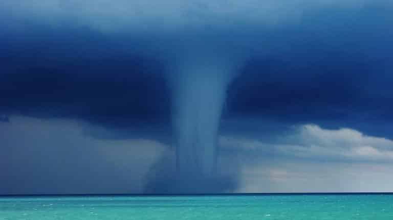 Fish Actually Rained From the Sky in Mexico’s Coastal City – Elite Readers