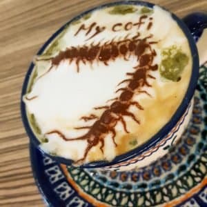 A Barista In Taiwan Makes Realistic 3D Cockroach Latte Art – Elite Readers