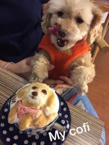 A Barista In Taiwan Makes Realistic 3D Cockroach Latte Art – Elite Readers