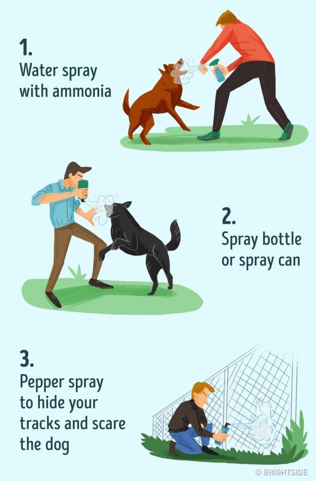 secret-agent-tips-2 – Elite Readers