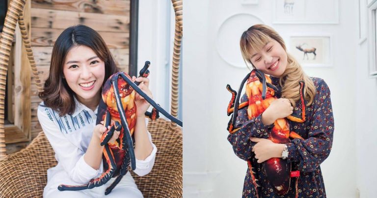 How Would You Like To Sleep While Hugging This Giant Cockroach Pillow ...