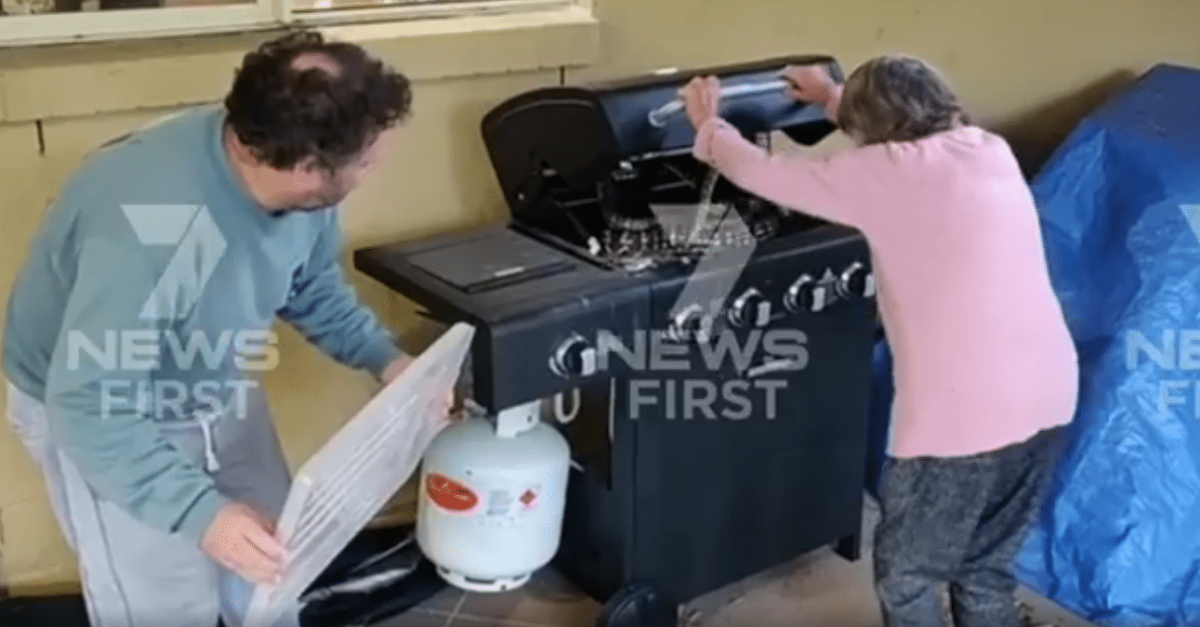 Fearless Grandma Casually Grabs Two Massive Pythons Hiding In Her ...