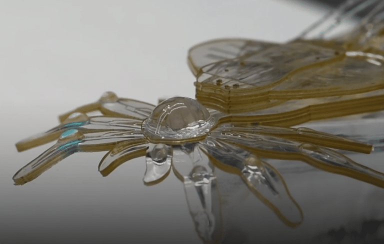 New Invention Soft Robot Spiders Could Be The Future Of Medical Science ...