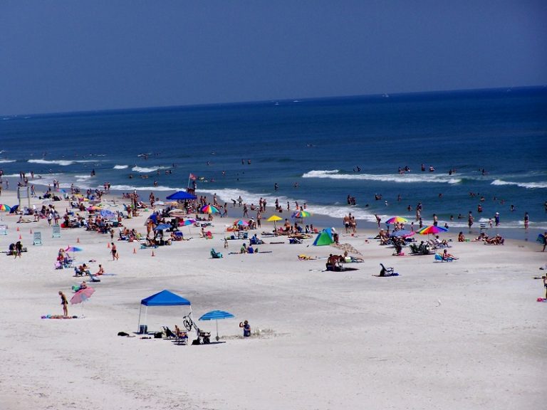 10 Shark-Infested Beaches In The World – Elite Readers