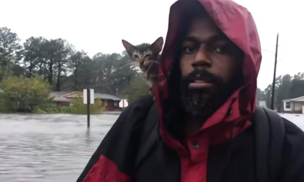 Florida Man Travels 300 Miles To Headbang Against Hurricane Florence ...