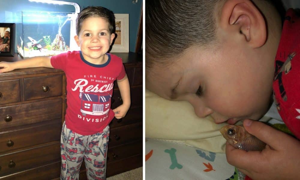 Fish Bra Selfies are the Latest Bizarre Trend to Sweep Social Media ...