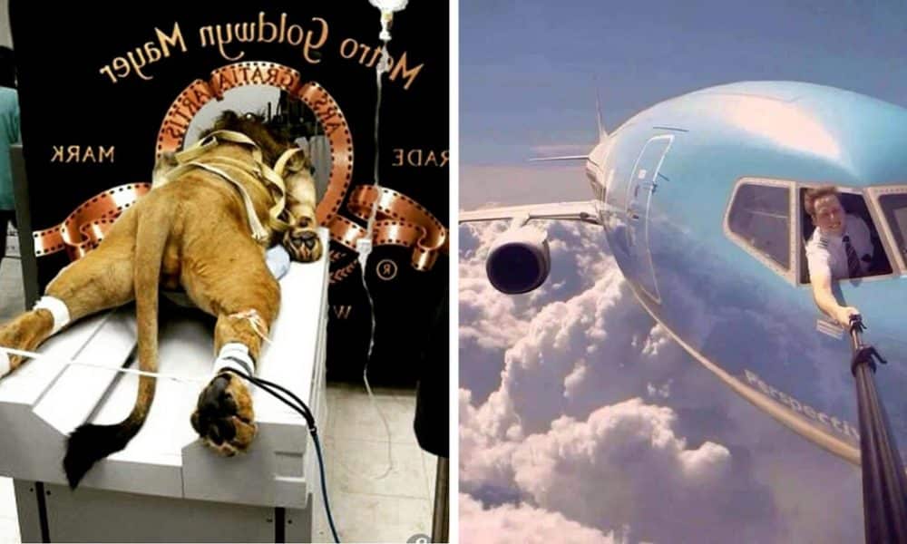 fake viral photos – Elite Readers