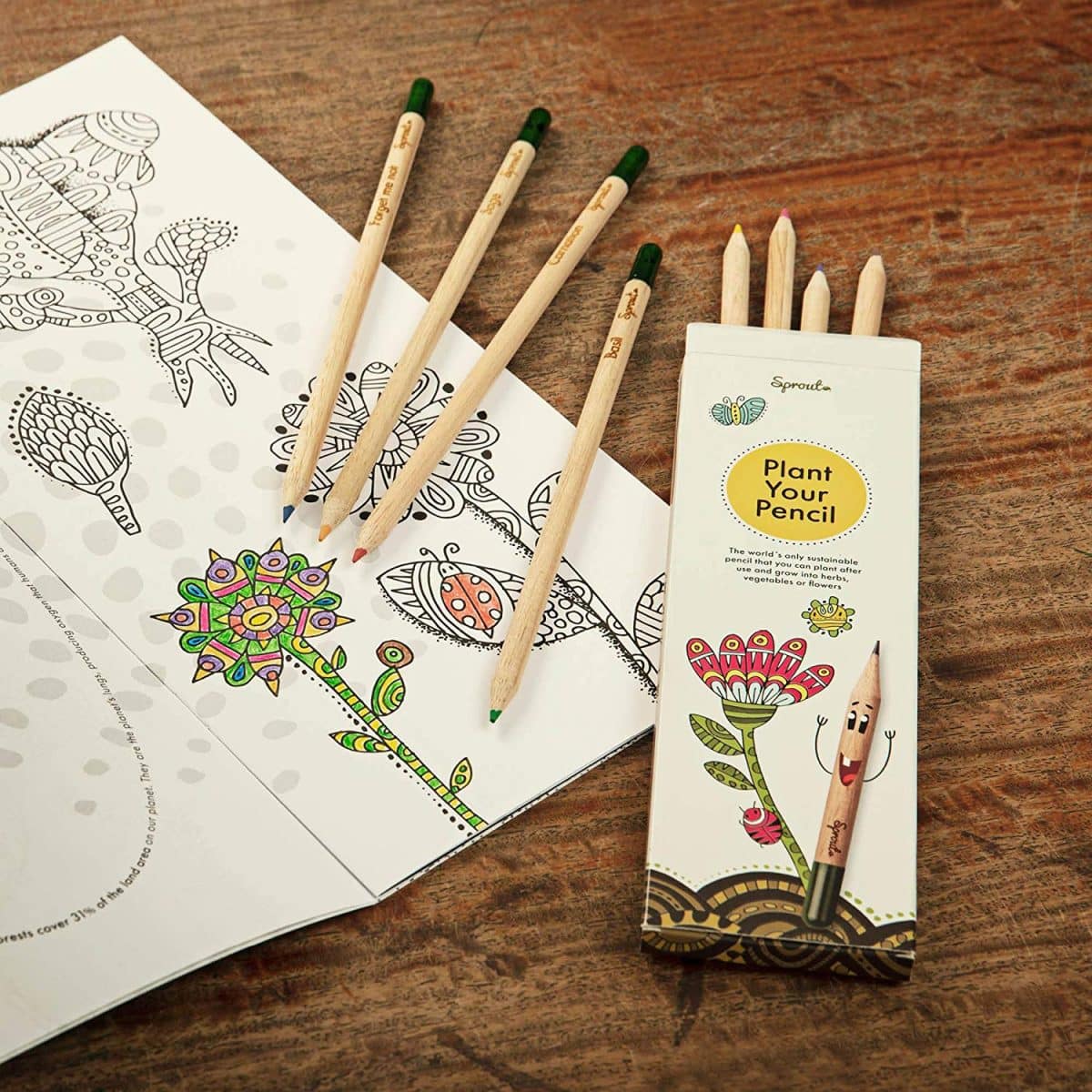 These Eco-Friendly Pencils Actually Grow Into Plants When Placed In ...