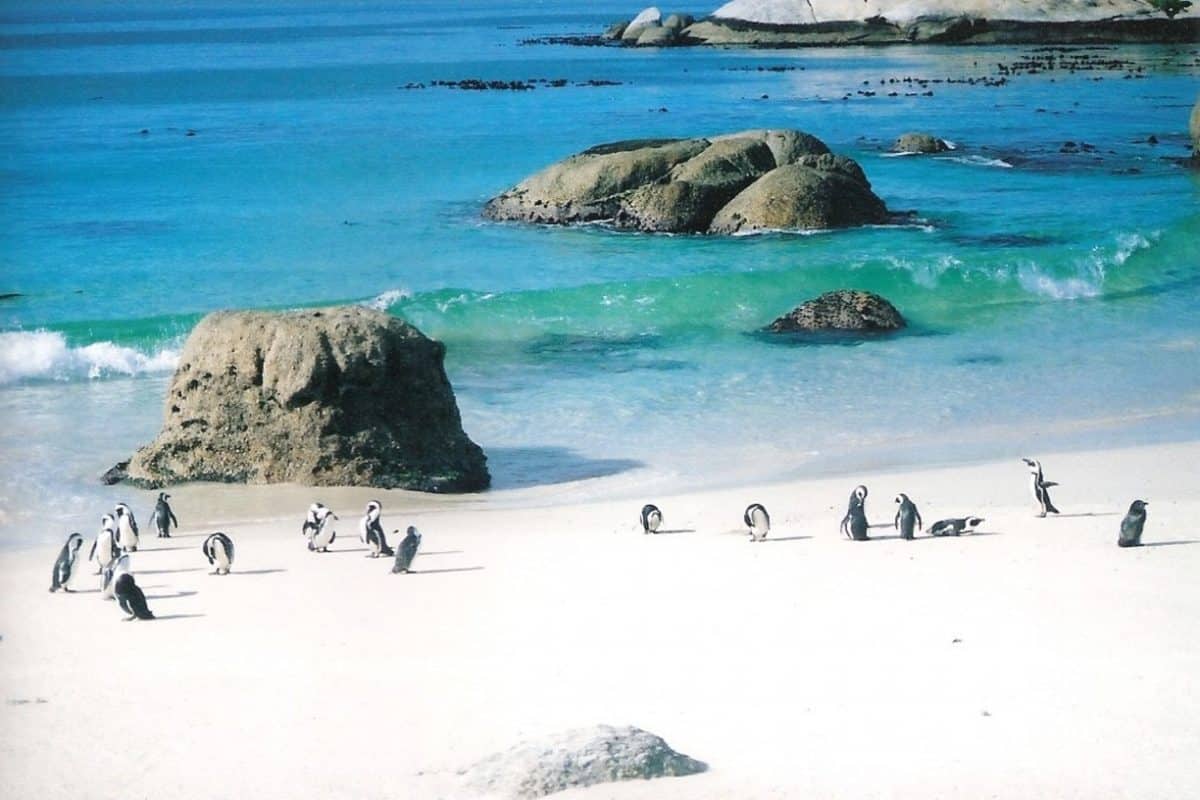 World’s 10 Most Popular Beaches You Shouldn’t Miss – Elite Readers