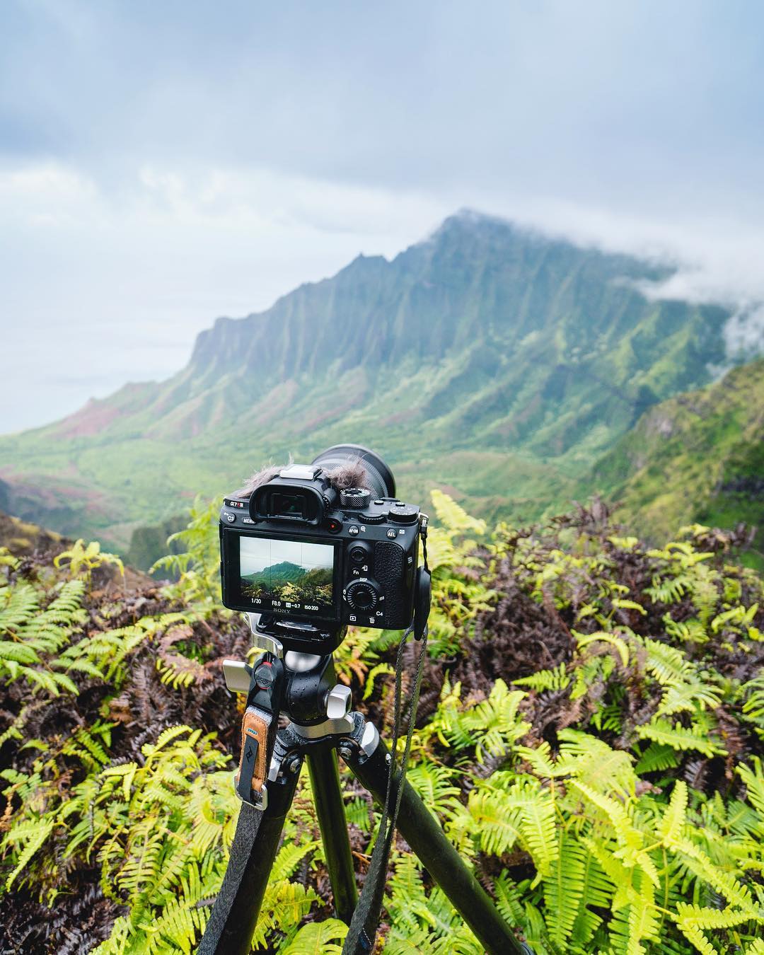 15 Brilliant Vacation Tips To Live By – Elite Readers