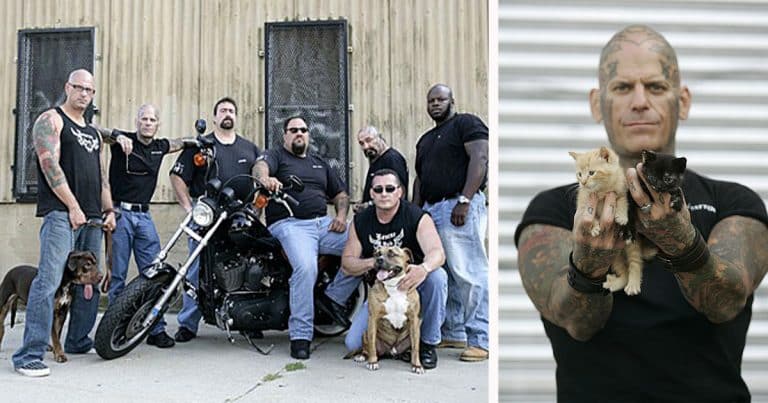 Gang of Bikers Has A Mission To Save Animals from Abusive Pet Owners ...