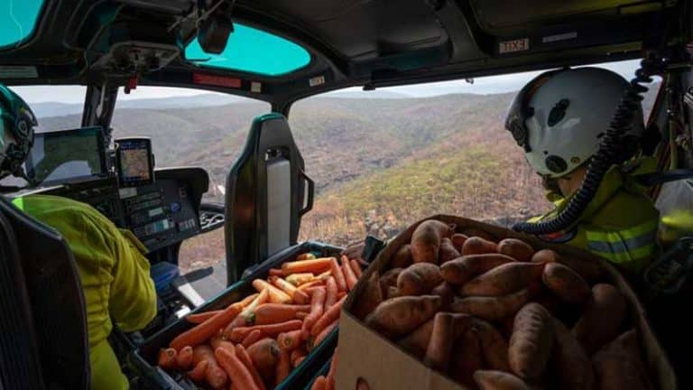 Helicopters Drop Food For Hungry Animals Who Survived Australian ...