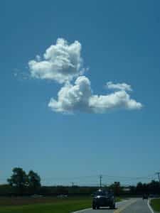 Dog-Shaped Clouds Are Convincing People That Dogs Really Go to Heaven ...