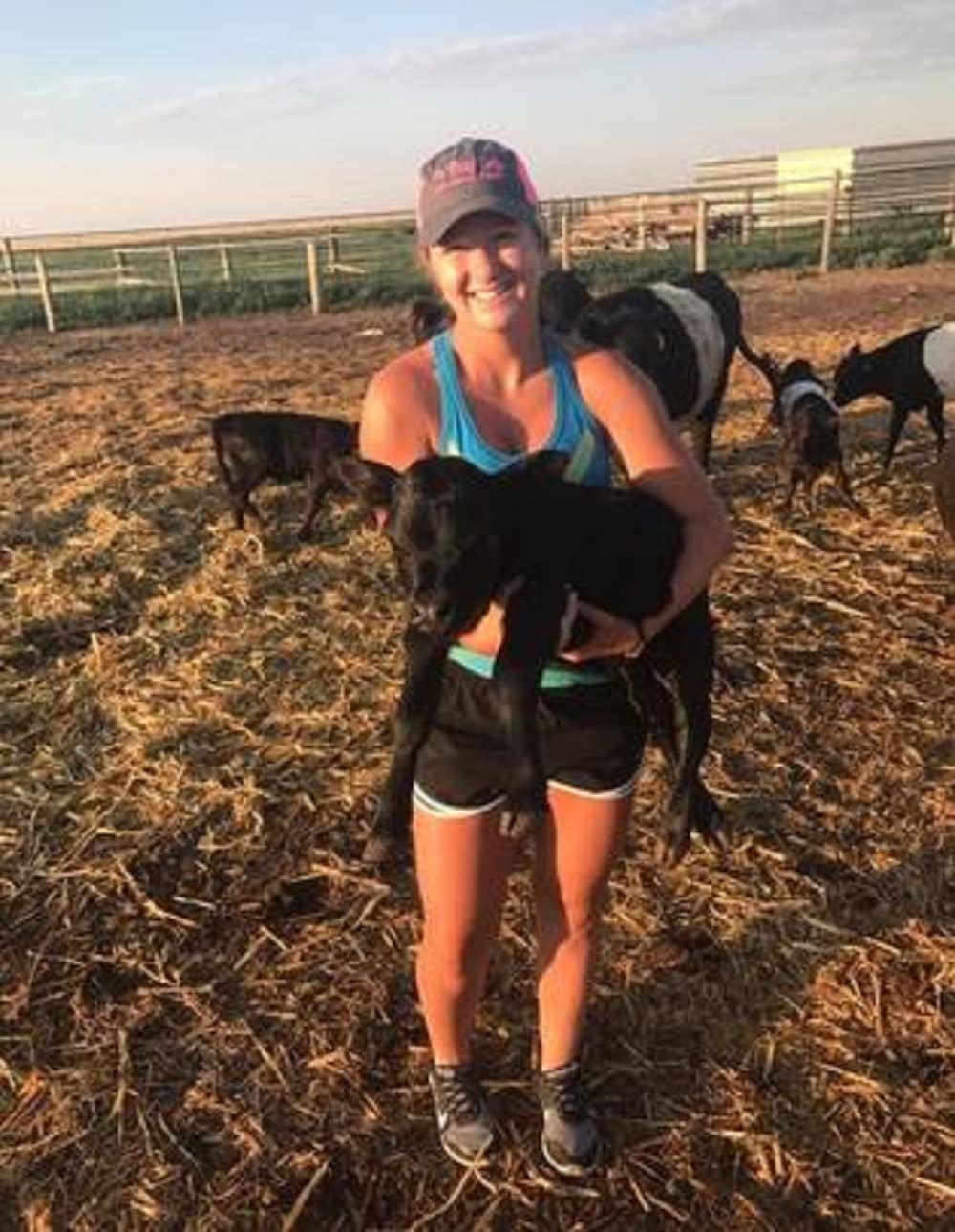 These Lovable Miniature Cows Make Charming Pets – Elite Readers