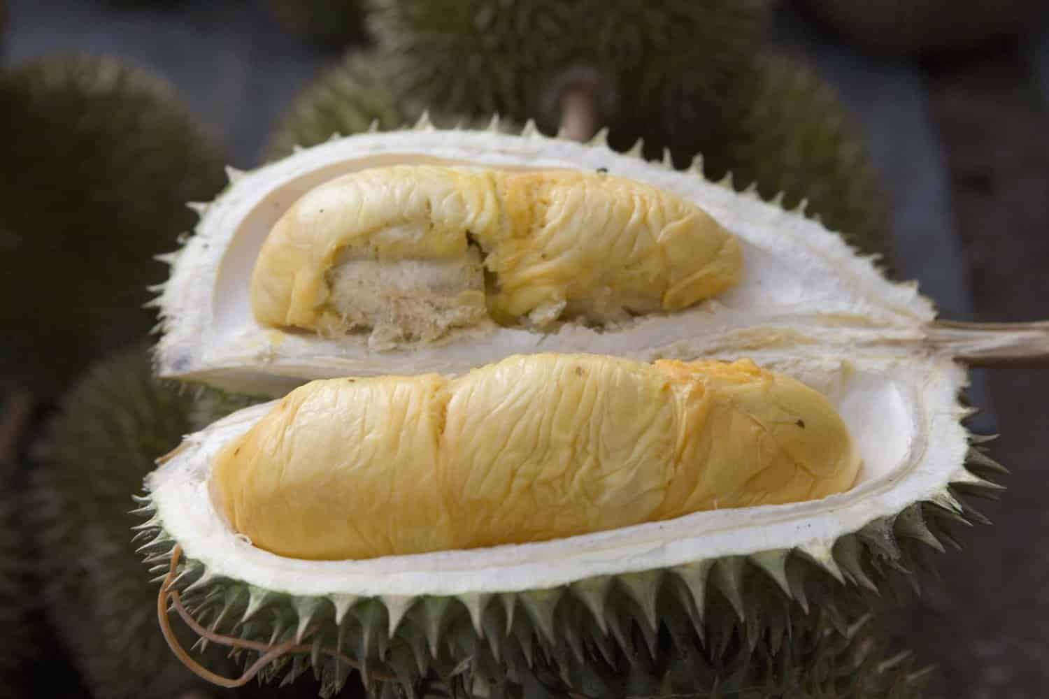 Scientists Transformed the Awful Smell of Durian Into Energy Storage ...