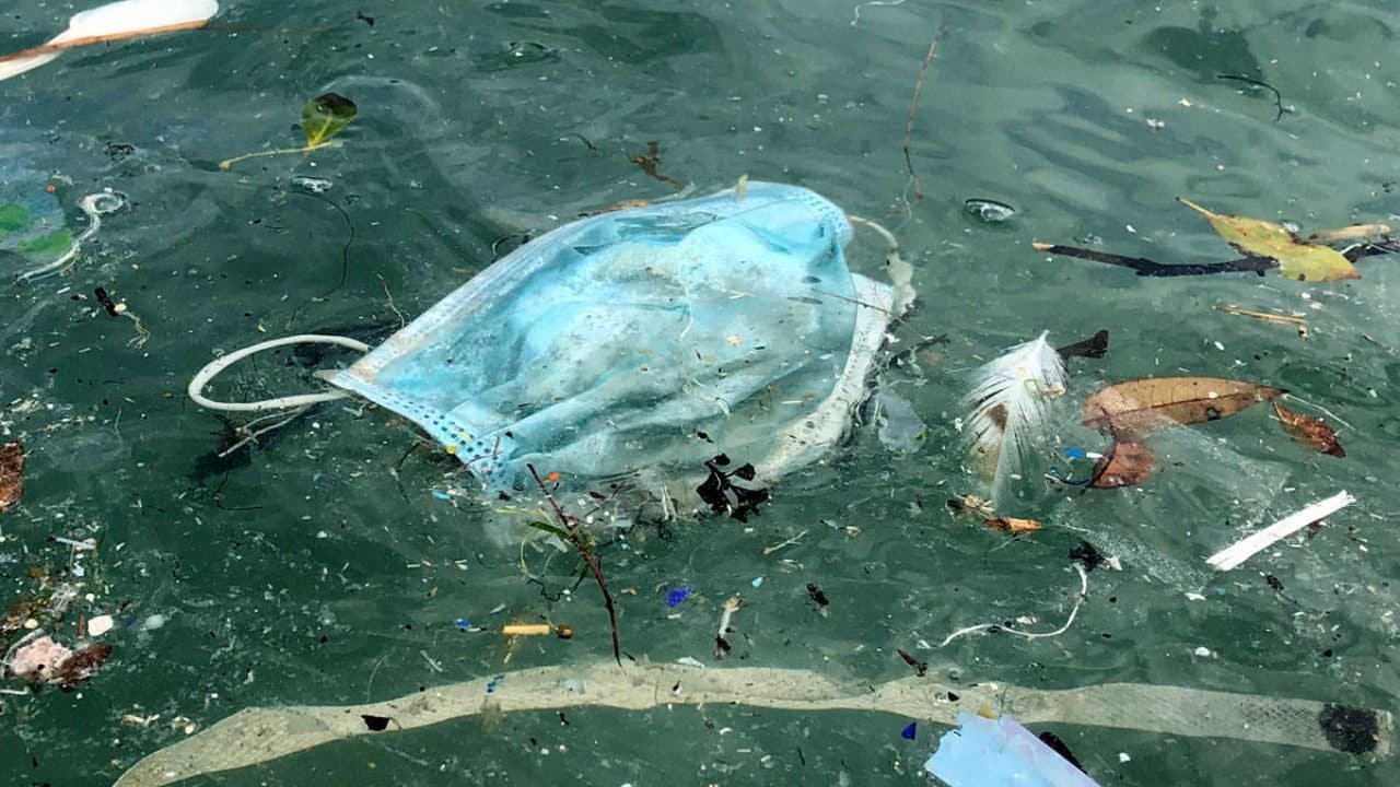 The World Has A New Pollution Problem: Improperly-Disposed Face Masks ...