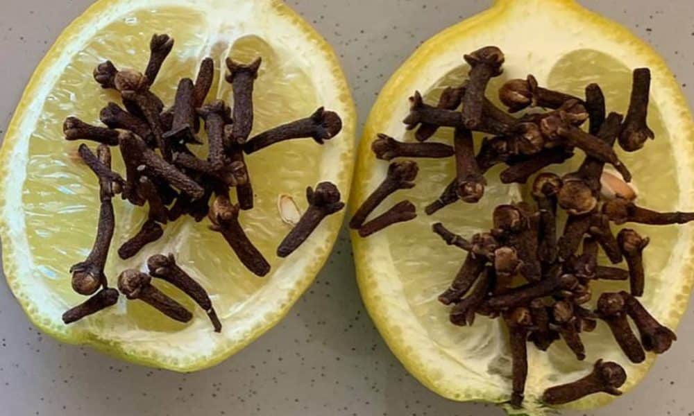 How To Start A Fire With A Lemon – Elite Readers