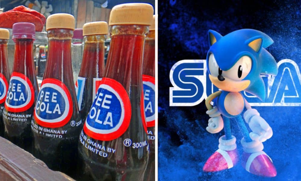 The Most Hilarious Reporter Fails Ever Caught on Camera – Elite Readers