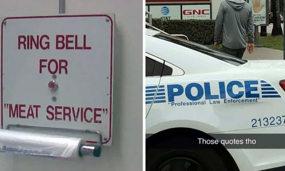 The Most Hilarious Reporter Fails Ever Caught on Camera – Elite Readers